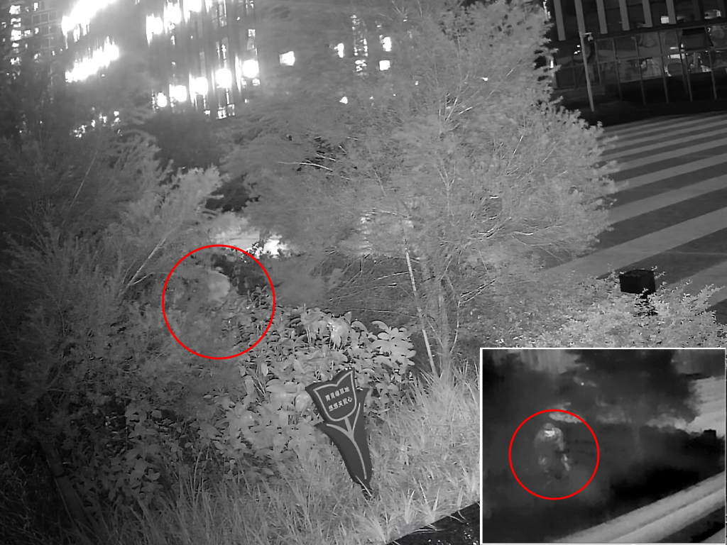 Fixed Thermal Cameras for Perimeter Monitoring | Sunell